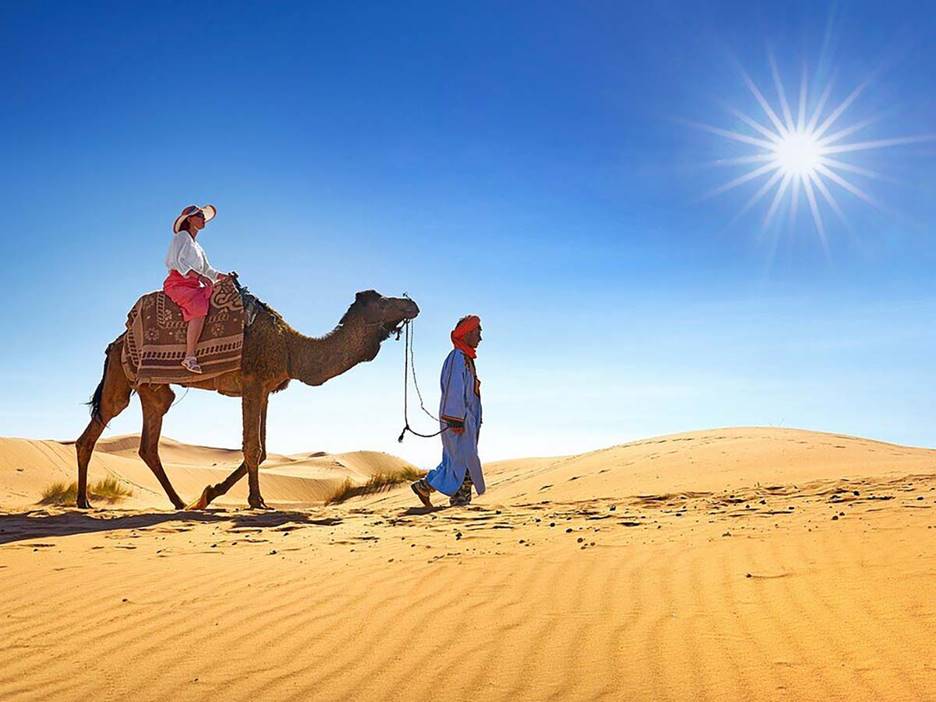 Camel Trekking in Morocco: What to Expect on Your Journey | Tripz Mania
